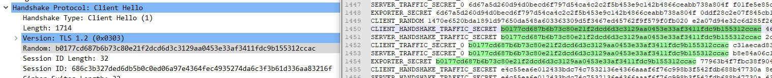 Decrypting HTTPS Traffic with SSLKEYLOGFILE – Haifeng's Blog