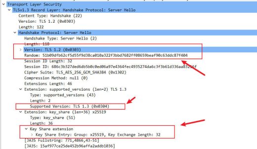 Understanding TLS 1.3 with Wireshark – Haifeng's Blog