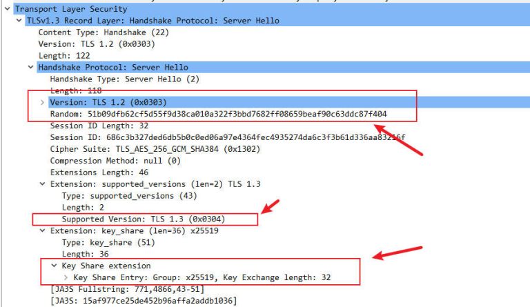 Understanding TLS 1.3 with Wireshark – Haifeng's Blog